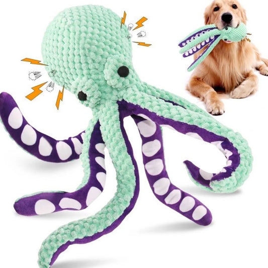 Pet Toys – The Pet Nook Pet Toys – The Pet Nook